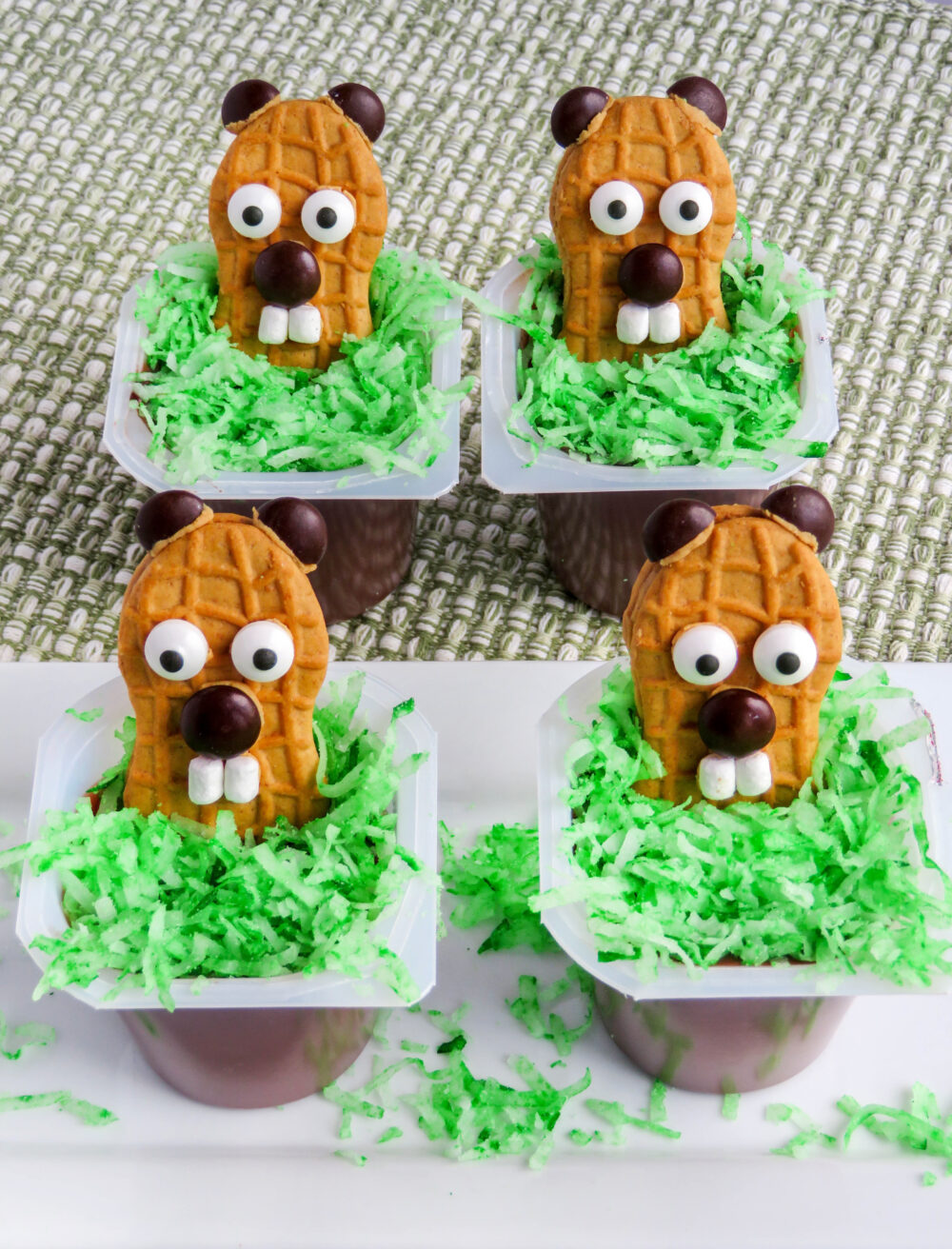 Groundhog Day Pudding Cups | The Laurie Berkner Band